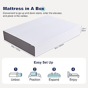Amazon Basics Memory Foam Mattress, Medium Firm, 12 Inch, Queen, White/Grey