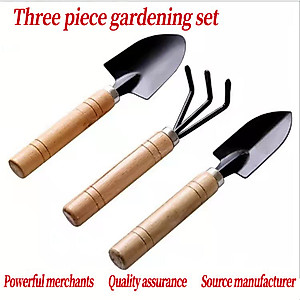 3Pcs Succulent Tools, This Tool Set is Especially Suitable for Office Gardening, Desktop Gardening and Indoor Bonsai,It Helps You All Kinds of Small Potted Plants，Meets Your Gardening Needs