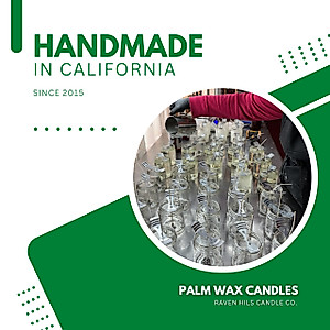 May Your Enemies Choke On a Bag of Dicks - Infused With Deez Nuts | Funny Novelty Candle Gift | Dye Free Handcrafted Palm Wax Candles by Raven Hils Candle Co | 9 Ounces | Scent (Fresh Linen)