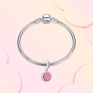 Annmors Pink Birthday Cake Dangle Charm for Woman-925 Sterling Silver Pendant Bead,Girl Jewelry Gifts for Women Bracelet&Necklace