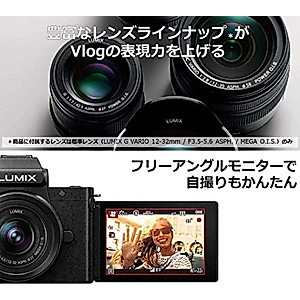 Panasonic LUMIX G100 4k Mirrorless Camera, with 12-32mm Lens, DC-G100KK (Black) (International Model)