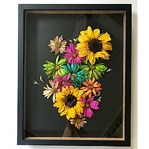 ACTIVA Art Silica Gel, 4 pounds Flower Drying Compound, White