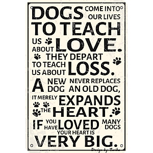 Dogs Come Into Our Lives to Teach Us About Love Dog Quote Sign Vintage Look Tin 8X12 Inch Decoration Art Sign for Home Kitchen Bathroom Farm Garden Garage Inspirational Quotes Wall Decor