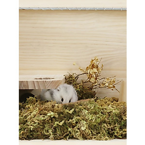 Rubor Wooden Hamster Cage Mice and Rat Habitat Small Animal Habitat for Rabbits, Guinea Pigs, Chinchillas with Openable Top and Large Acrylic Sheets