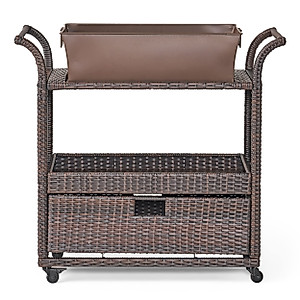 Christopher Knight Home Ravenna Barcart, Multibrown