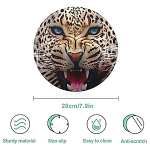 Angry Leopard Cutting Board Tempered Glass Chopping Board for Kitchen Hotel
