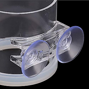 Fish Tank Suction Cup Feeder Acrylic Transparent Fish Ring Food Feeder Clear Fish Feeding Ring with Anti-Collision Strip for Aquarium Fish Tank