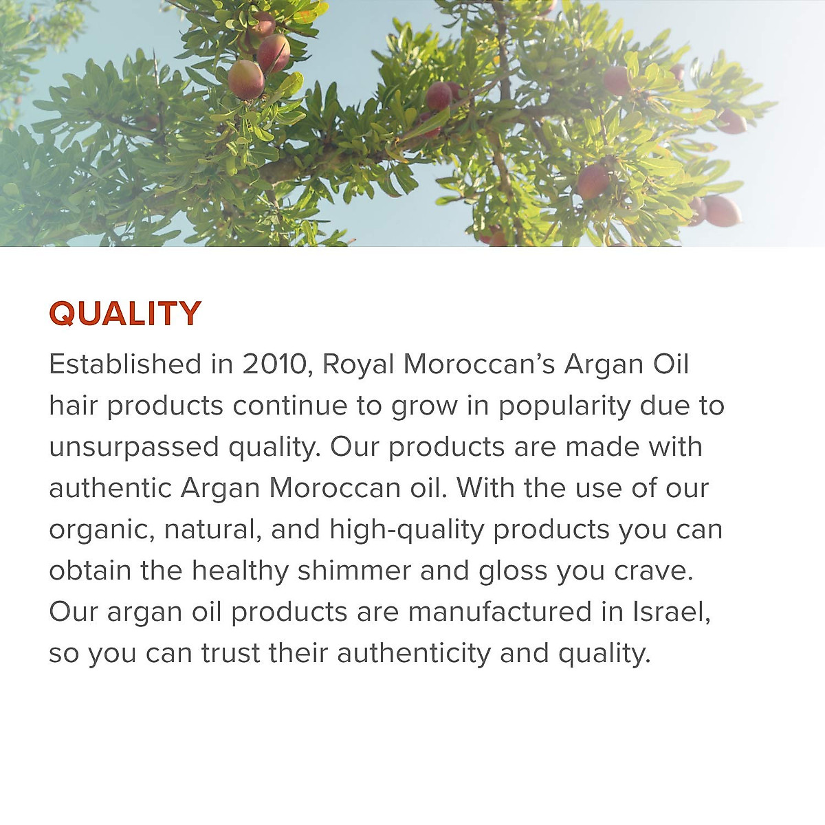 Royal Moroccan BEST SILVER SHAMPOO 300 ml /10.05 fl.oz | Purple Shampoo for Blond Hair & Grey Hair|Lights Shampoo for Blond & Silver Hair |Anti-Yellow Shampoo | Paraben-Free Argan Oil Hair Products