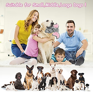 Letsmeet Plush Large Dog Toys with Squeaker and Crinkle Paper, Interactive Puppy Chew and Teeth Cleaning Toy, Pet Toys for Small, Medium and Large Dogs