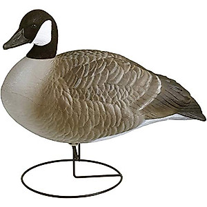 Flambeau Outdoors 8990FBU Storm Front 2 Canada Goose Decoys, Full Body Flocked Heads - 6-Pack