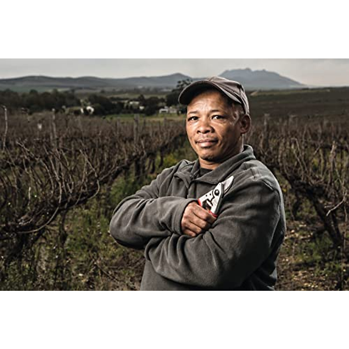 Felco Pruning Shears (F 12) - High Performance Swiss Made One-Hand Garden Pruner with Steel Blade