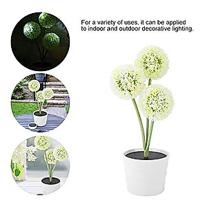 MIGONG Solar Powered Flower Lights, Waterproof Garden Lights Solar Powered Solar Powered 3Led Flower Pot Fiber Optic Lamp for Home Office Hotel Courtyards Balconies Gardens 14.4X6.5In