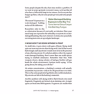 Break the Mold: 5 Tools to Conquer Mold and Take Back Your Health