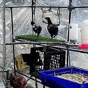 MUYG Washable Chicken Nesting Pads Artificial Grass Rug Carpet Cuttable Chickens Nest Box Bedding Liners for Hen Coop Egg Duck Reed Chicken Goose(4 PCS)