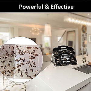 Redeo Pantry Moth Traps with Pheromones Safe and Non-Toxic Sticky Glue Trap for Food, Cupboard and Meal Moths in Your Kitchen Pantry Moth Killer with No Insecticides for House (6)