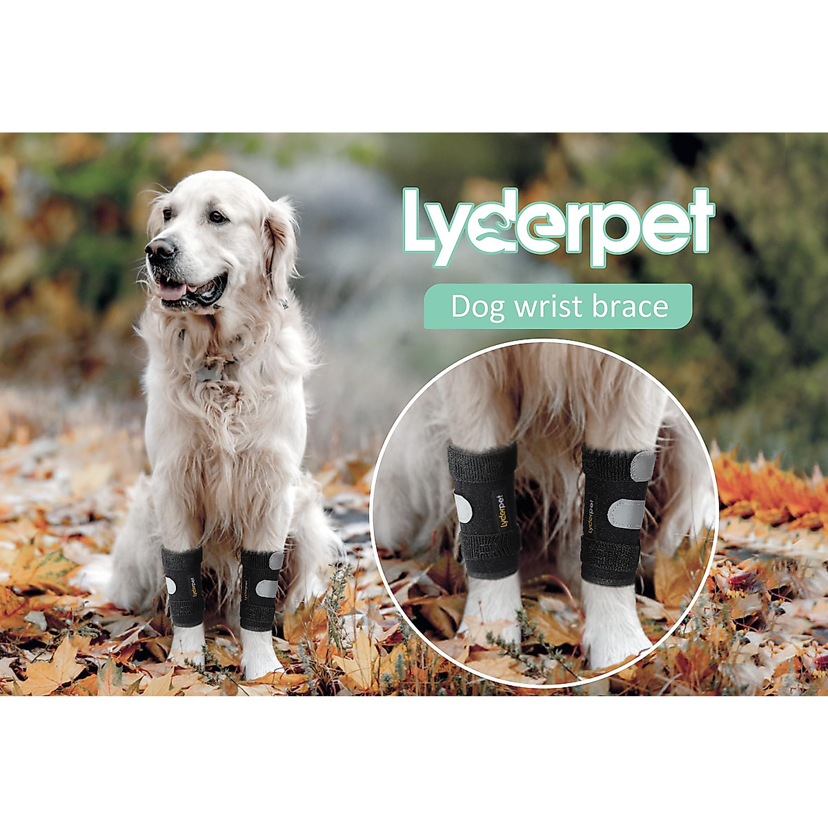 Lyderpet Dog Brace Front Leg Wrist Support, Canine Dog Carpal Brace Splint, Prevents Injuries and Sprains, Protects Carpus Joint Wounds Heals, Helps with Loss of Stability Caused by Arthritis