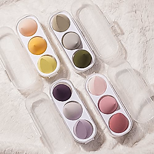 Makeup Sponge 3pcs Makeup Sponges for Foundation Blending Sponges for Makeup Sponge Beauty Blender Sponge Pink Latex Free and Vegan Make up Sponges for Face with a Storage Case (3, Pink)