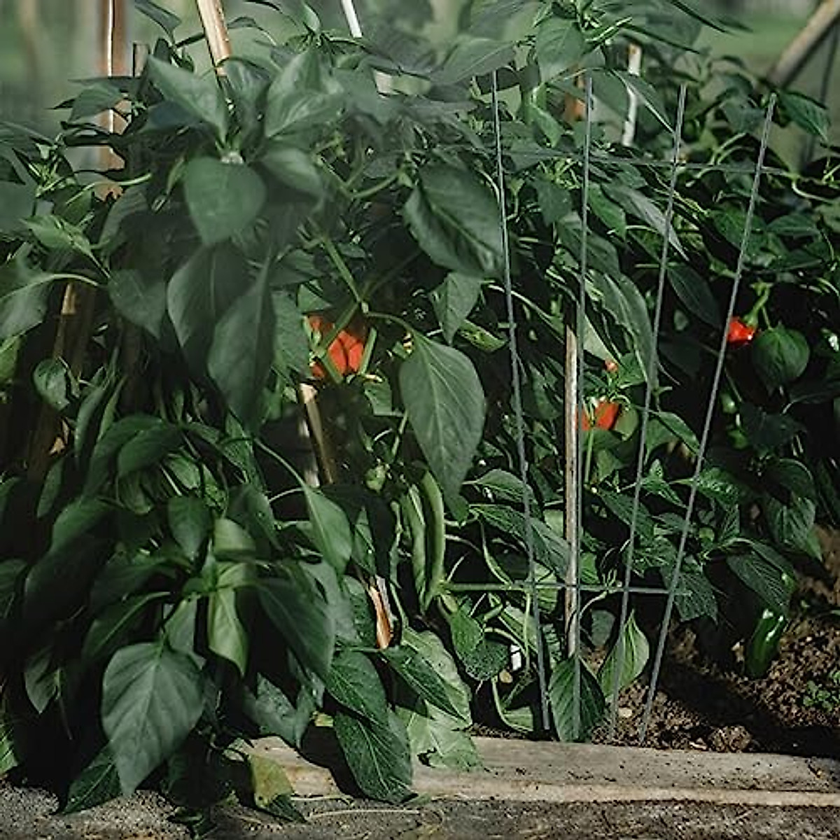 MAGICLULU House Plant Trellis for Potted Plants Plant Climbing Trellis 2pcs Iron Vine Climbing Support Rack Flower Garden Plant Stakes for Rose Vine Pea Ivy Cucumbers Flower Vegetables