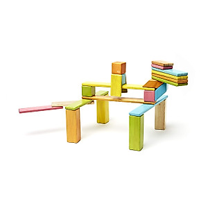 24 Piece Tegu Magnetic Wooden Block Set, Tints, 1-99 years old