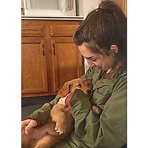 iCalmPet | Through a Dog's Ear: Calm Your Puppy | Micro SD Card | 3-hrs | Early Treatment of Noise Phobias and Sound sensitivities in Younger Canines