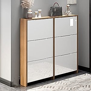 TJLSS Living Room Shoe Rack Organizer Cabinet Thin Shoe Cabinet Door Tipping Bucket Shoe Cabinet for Small Apartment (Color : D, Size : 120cm)