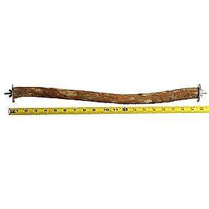 Polly's Full Length Hardwood Bird Perch, 20-Inch