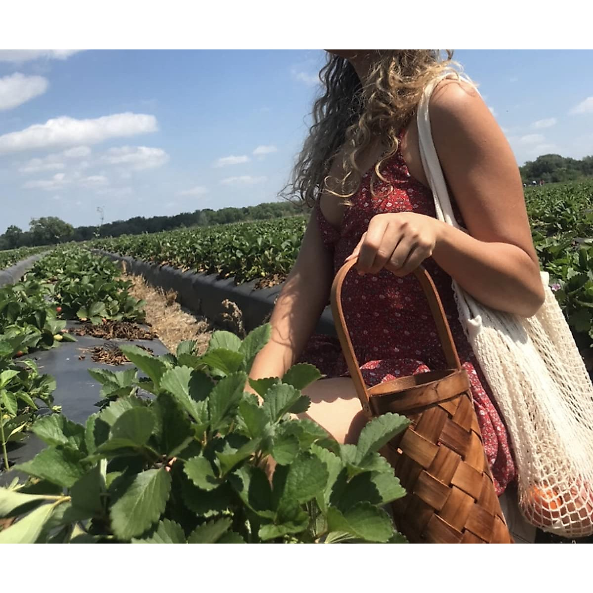 Reusable Produce Bags, Washable, Mesh Bags for Vegetables, Organic Mesh Produce Bags Cotton, Vegetable Storage Bags for Refrigerator Keep Fresh, Produce Storage Bag Set of 6(4 Mesh+2 String bags)