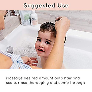 Gryph and IvyRose Daily Embrace 2-in-1 Sulfate Free and Paraben Free Shampoo and Conditioner - Soft Hair Hydration Shampoo/Conditioner - Goji Berry & Ginger (1-Pack)