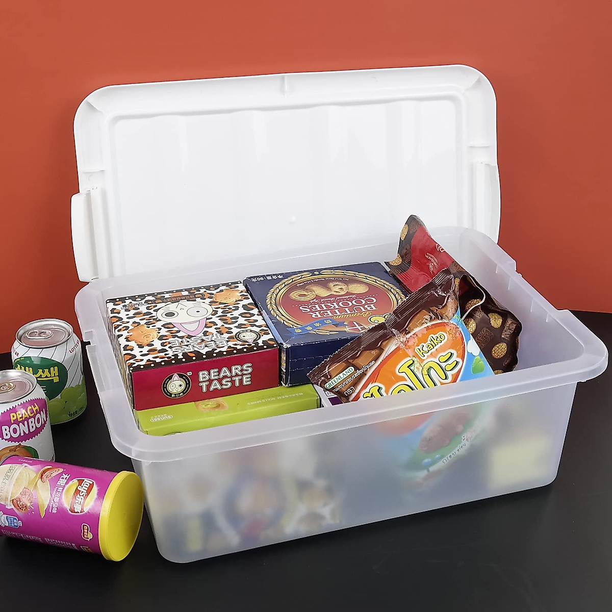 Jandson 14 Quart Clear Frosted Bin, Plastic Latching Box/Container with White Lid, Pack of 2, F