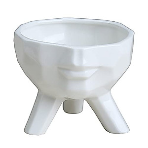 YONGYAN Face Shape Flower Pot Statue Decoration Ceramics Garden Head Planters Containers Pot Bookshelf Office Desktop Decor