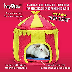 HAYPIGS Guinea Pig Toys and Accessories Circus Themed Fleece Bundle - Guinea Pig House - Guinea Pig Hideaway - Guinea Pig Bed - Guinea Pig Bedding - 4 x Absorbent Washable Pee Litter Pads