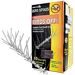 Jolt Pests Stainless Steel Bird Spikes