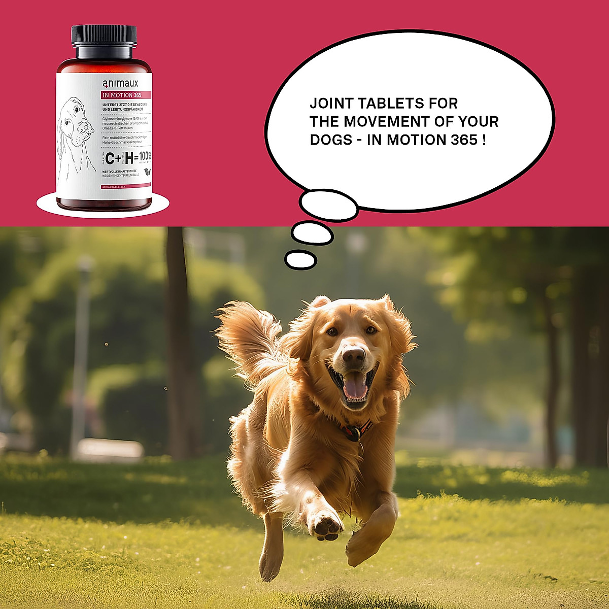 animaux – in Motion 365 for Dogs, Joints, Bones, Mobility, Ligaments and Tendons, Green-Lipped Mussel, Willow Bark and Devil’s Claw, Natural Pain Relief, 60 Chewable Tablets, 60 Days Supply