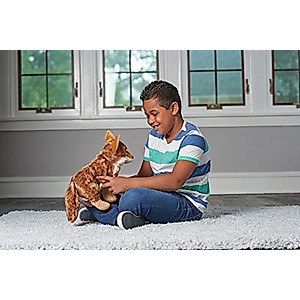 Wild Republic Coyote Plush, Stuffed Animal, Plush Toy, Gifts for Kids, Cuddlekins 12 Inches