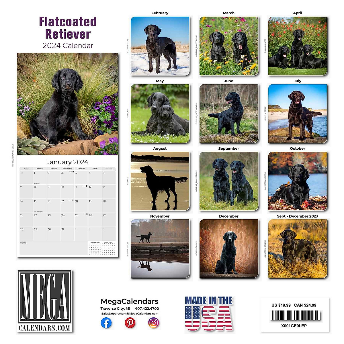 2023 2024 Flat-Coated Retriever Calendar - Dog Breed Monthly Wall Calendar - 12 x 24 Open - Thick No-Bleed Paper - Giftable - Academic Teacher's Planner Calendar Organizing & Planning - Made in USA