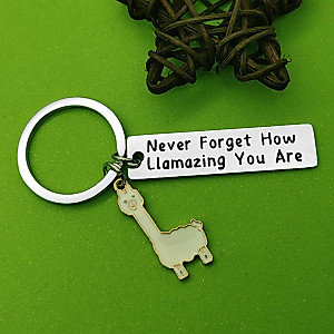 Baipilu Llama Keychain Llama Gift Never Forget How Llamazing You are Keychain for Women Alpaca Gifts Animal Lover Gift Inspiring Inspired Motivational Keychains for Women,birthday gift for friends