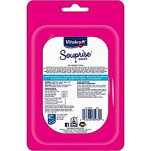 Vitakraft Souprise Snack Wet Cat Treat - Salmon - Lickable Treat or Dry Cat Food Topper