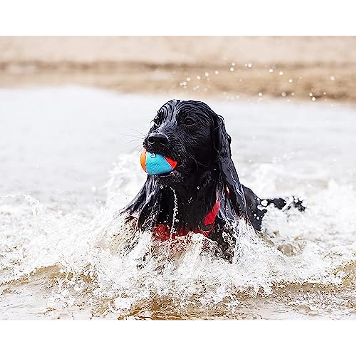 ChuckIt! Amphibious Fetch Balls, Set of 3