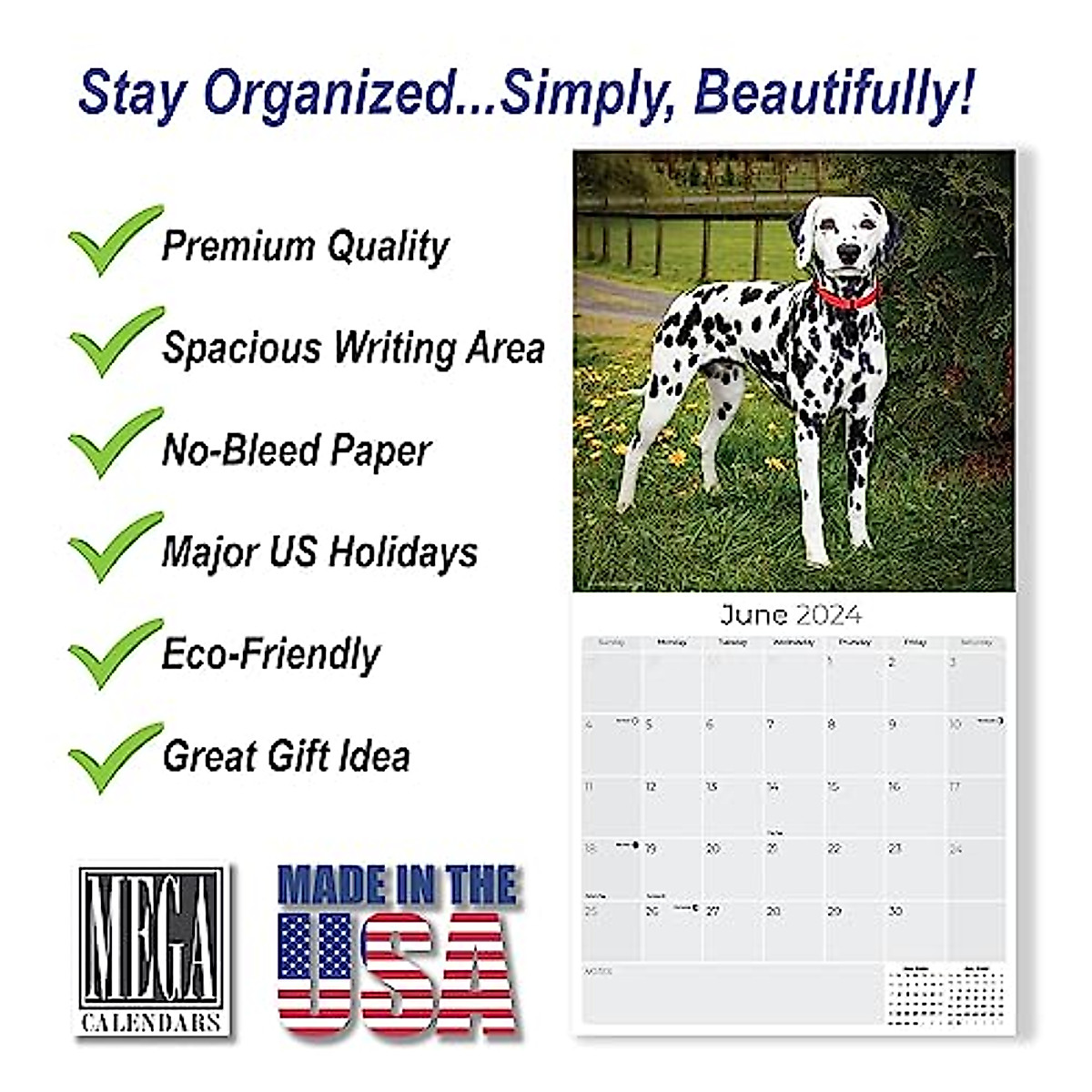 2023 2024 Dalmatian Calendar - Dog Breed Monthly Wall Calendar - 12 x 24 Open - Thick No-Bleed Paper - Giftable - Academic Teacher's Planner Calendar Organizing & Planning - Made in USA