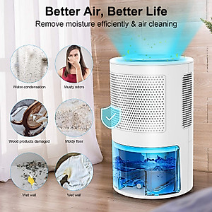 Large Dehumidifiers for Home - 68oz 2000ML Upgraded Humidity LCD Display Dehumidifiers for Basements Drain Hose, Quiet Portable Small Dehumidifier for Room Bedroom Bathroom Closet RV Control Panel