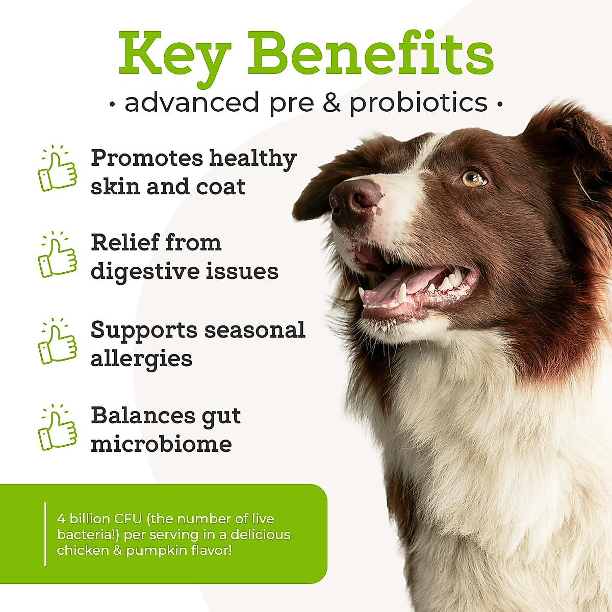 VetPro Complete Advanced Powdered Pre & Probiotics for Dogs, 90 Scoops, Supports Gut Health, Diarrhea, Digestive Health & Seasonal Allergies, Vet Developed, Chicken/Pumpkin Flavor, Add to Food