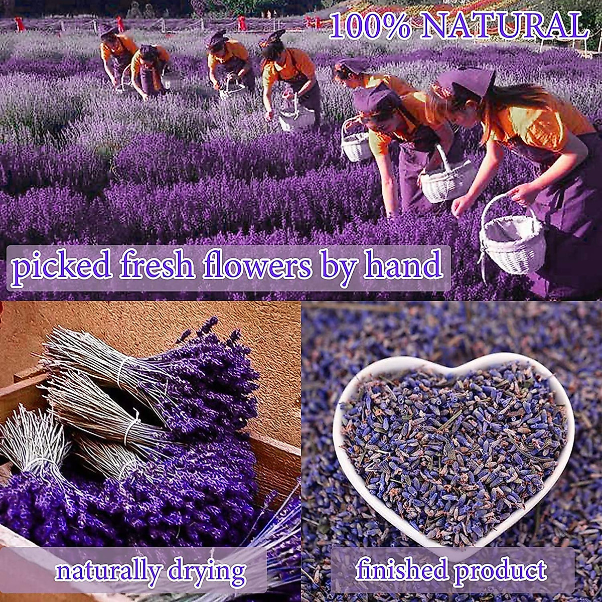 20 Bags Dried Flowers,100% Natural Dried Flowers Herbs Kit for Soap Making, DIY Candle Making,Bath - Include Rose Petals,Lavender,Don't Forget Me,Lilium,Jasmine,Rosebudsand More