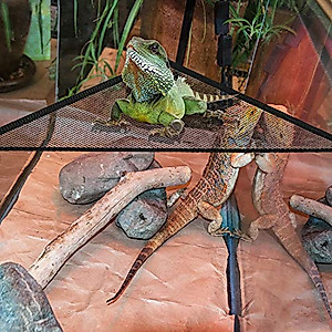 Magnoloran 4 Pack Bearded Dragon Lizard Hammock Reptile Swing Hanging Bed Lounger Breathable Mesh Hammock Habitat with Suction Cup Suitable for Iguanas, Anoles, Geckos, Snakes, Chameleon