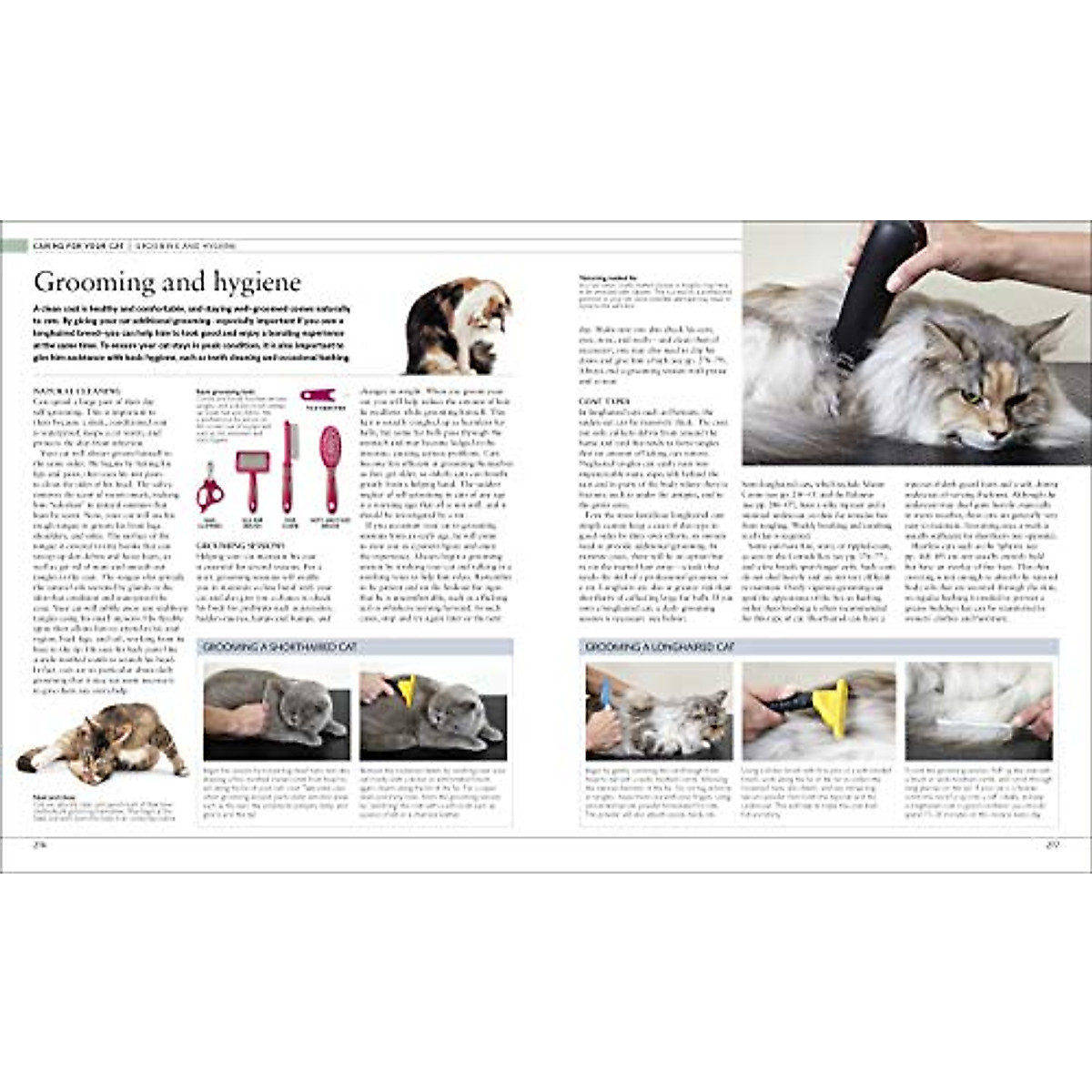 The Cat Encyclopedia: The Definitive Visual Guide (DK Pet Encyclopedias)