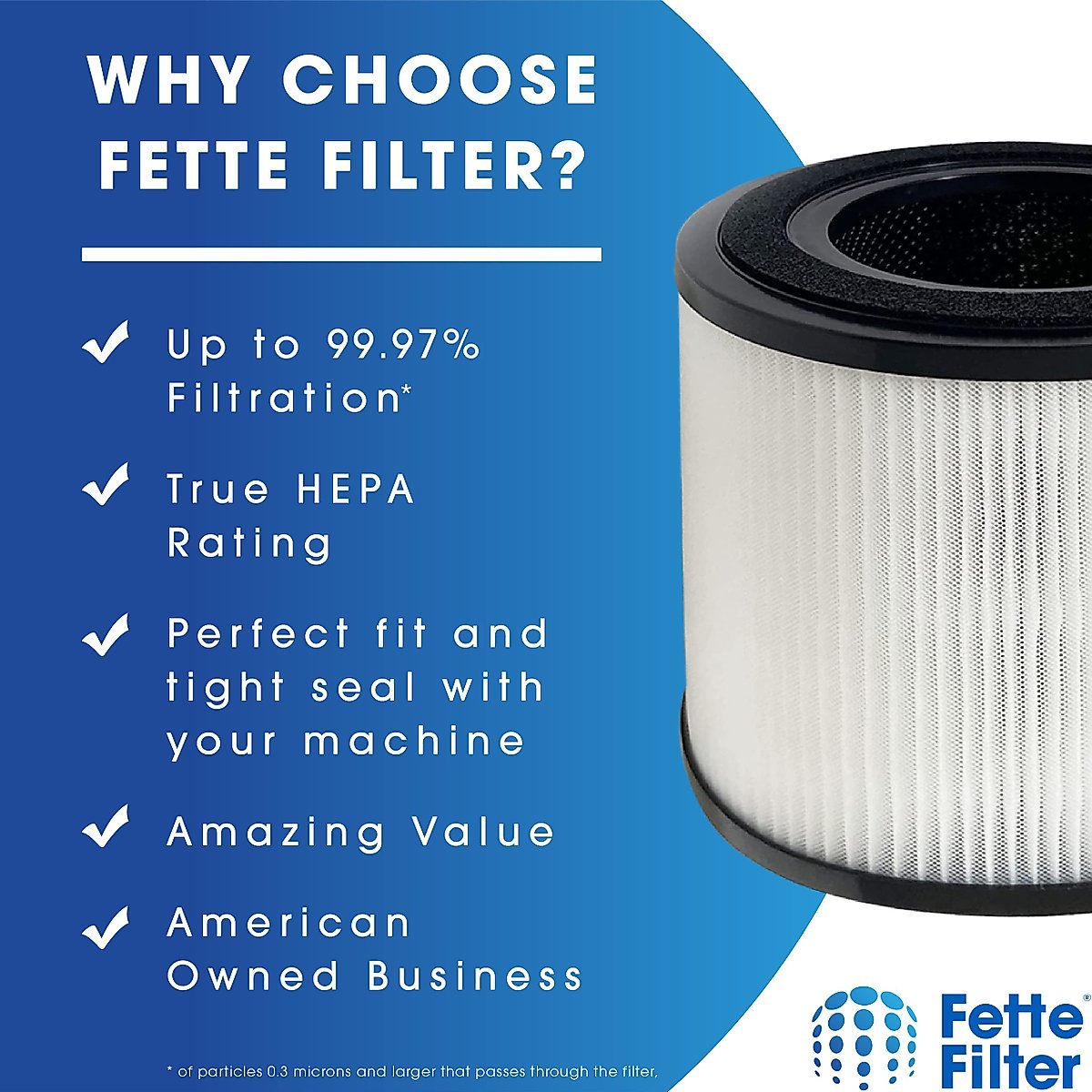 Fette Filter - Filter Compatible with BISSELL MYair Pro Hub and Plus Air Purifier Replacement HEPA and Carbon Filter Part # 3069 and 3389 - Pack of 1