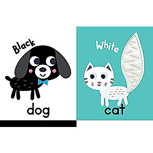 Colorful First Words - Silicone Touch and Feel Board Book - Sensory Board Book