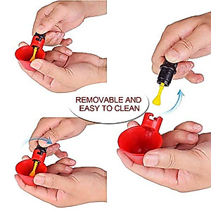 5pcs per lot Pigeon Automatic Drinking Bowl, Pigeon Drinker, Quail Drinking Bowl, Chicken Bird Water Bowl