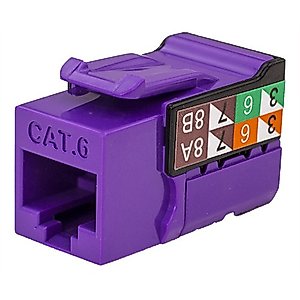 CAT6 RJ45 Keystone Jack, V-Max Series - Purple Color - (50 pack)