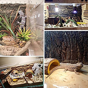 kathson 4PCS Cork Tile Background Bark 11.6”Lx7.7”W Terrarium Backdrop Wall Decor Natural Reptile Climbing Mat Habitat Decor for Spider Gecko Lizard Chameleon Bearded Dragon Turtle Snake
