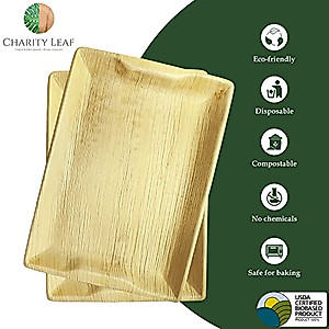 Charity Leaf Disposable Palm Leaf 14" x 10" Trays (10 pieces) Bamboo Like Serving Platters, Disposable Boards, Eco-Friendly Dinnerware For Weddings, Catering, Events
